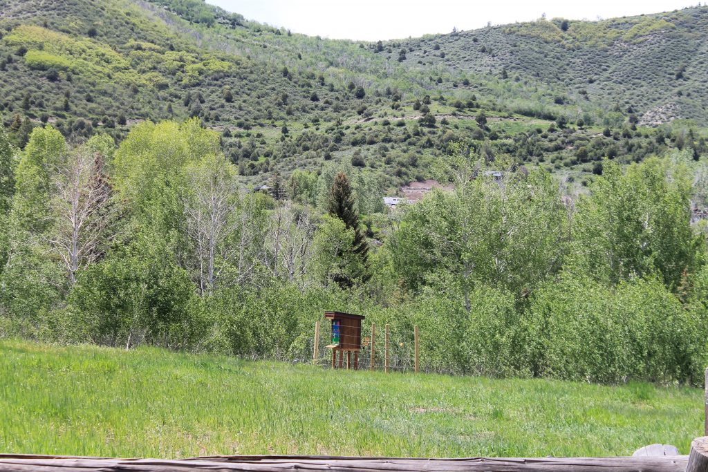 Knapp Ranch is all about the bees’ needs | VailDaily.com